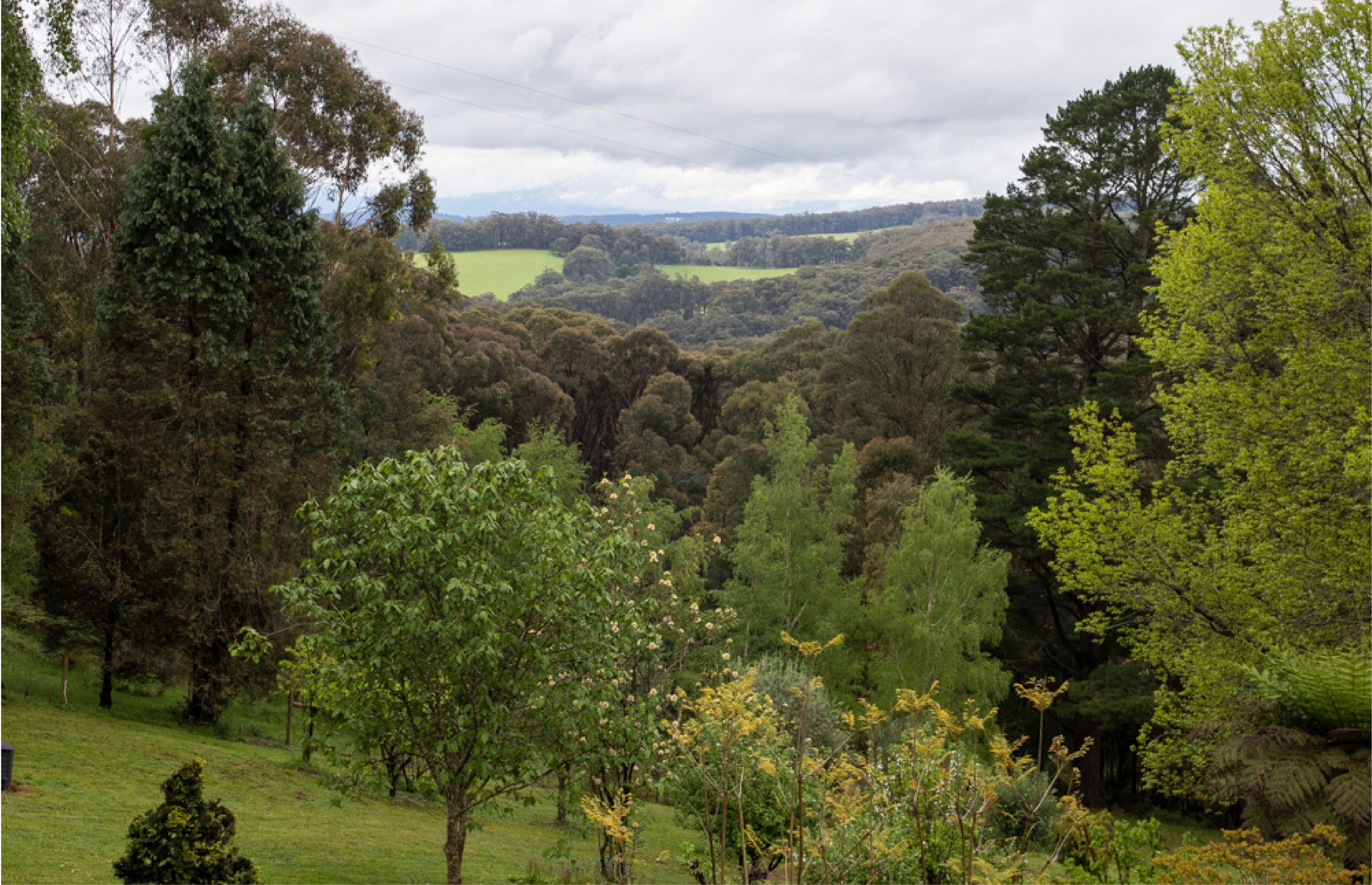 Bobby Gordon & Rowena Henry's Gembrook Garden - Robert Gordon Interiors