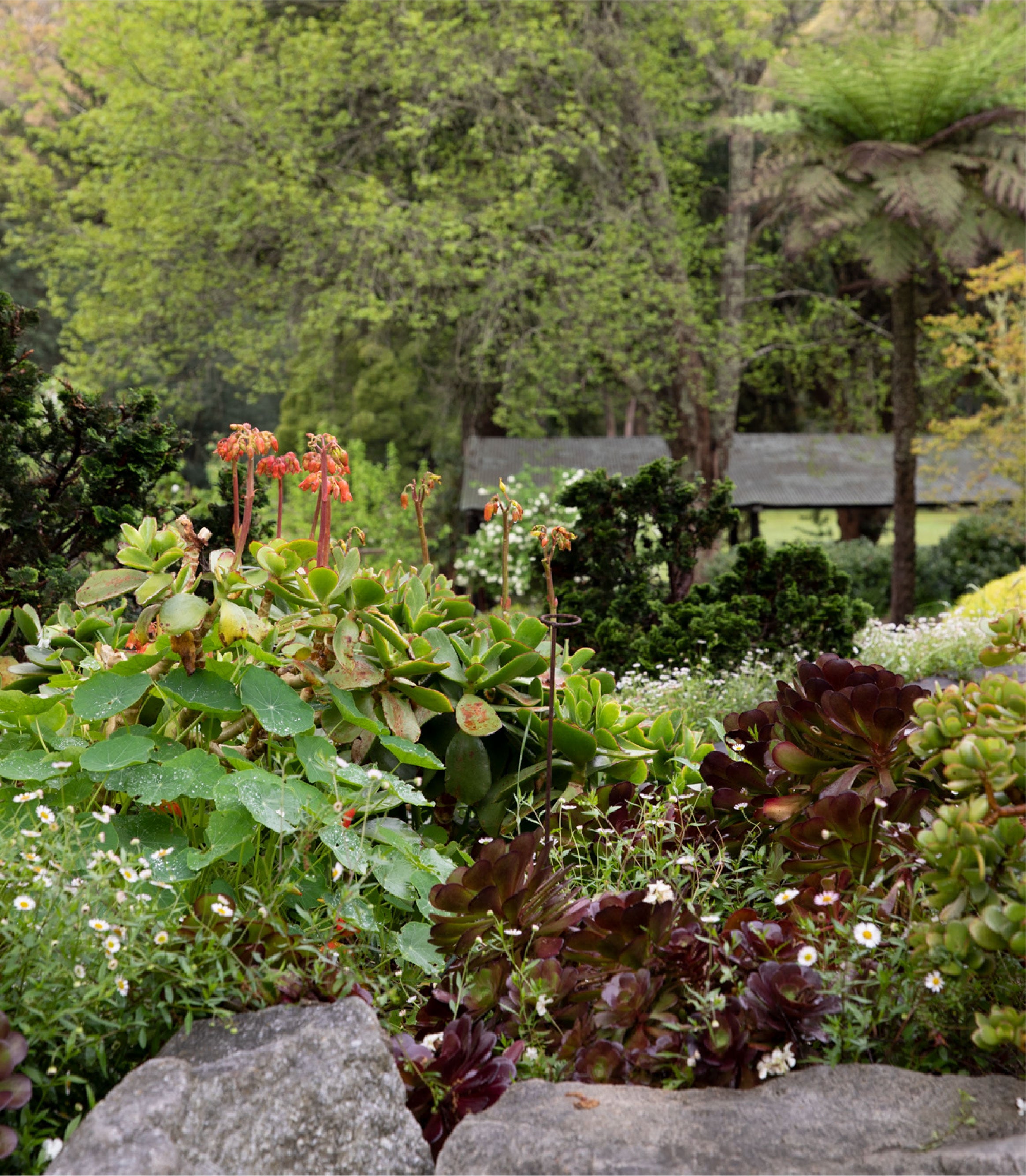 Bobby Gordon & Rowena Henry's Gembrook Garden - Robert Gordon Interiors