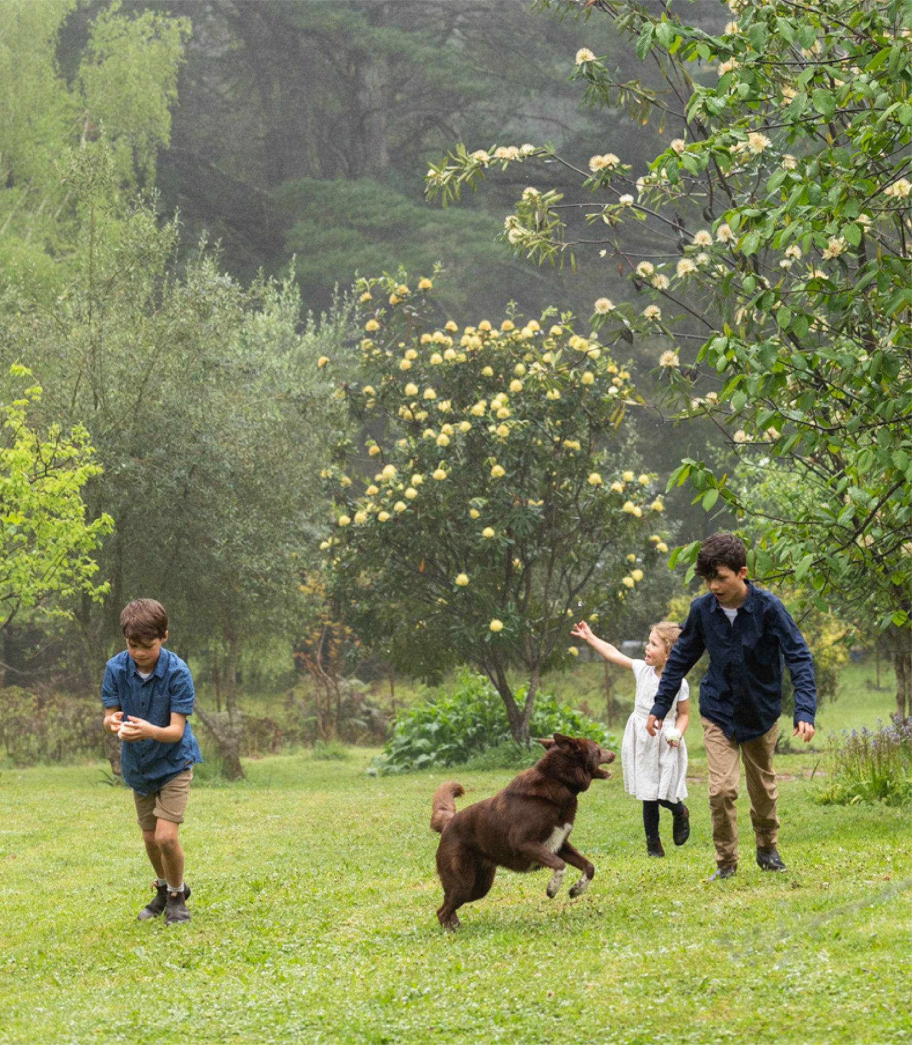 Bobby Gordon & Rowena Henry's Gembrook Garden - Robert Gordon Interiors